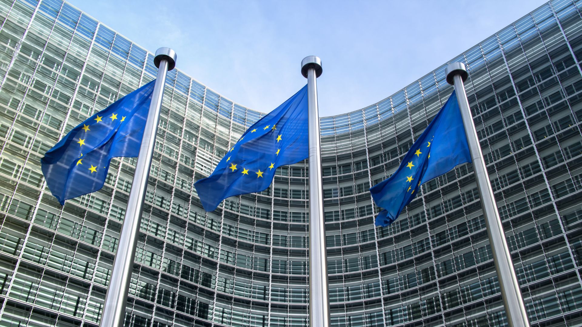 Sustainability Reporting Standards: GRI, ESRS and VSME - Yep Sostenibilità